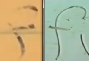 Arthur Leigh Allen's Right Handed Handwriting - The Zodiac Killer ...